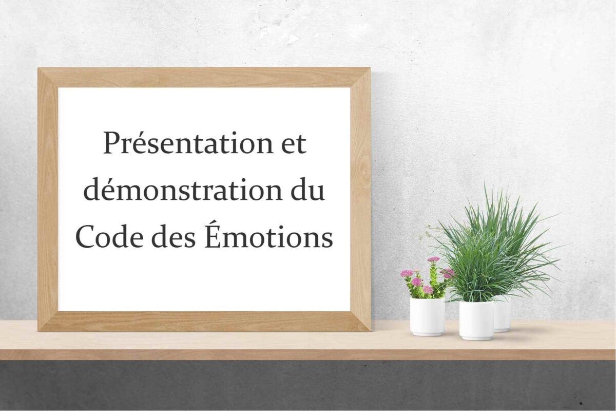 Présentation & démonstration du Code des Émotions · en ligne · Reflet ...